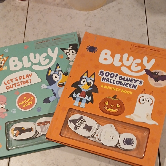 Other | Bluey Magnet Book Set | Poshmark